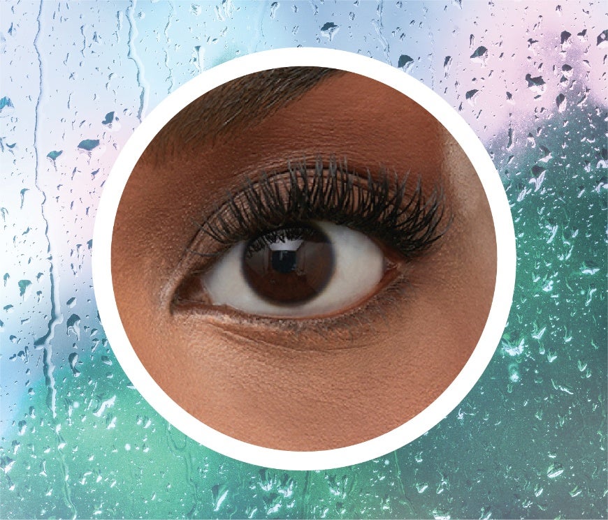 The Lash Lounge Annapolis – West Street | Best Lashes in Annapolis