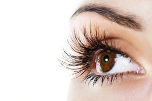 Eyelashes Falling Out? We Know Why – The Lash Shedding Cycle | The Lash ...