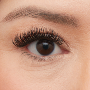 Wet Lash Extensions | The Lash Lounge